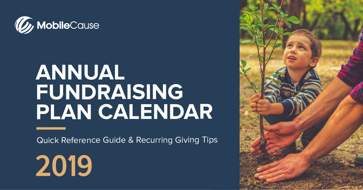 Annual Fundraising Plan Calendar Infographic 19